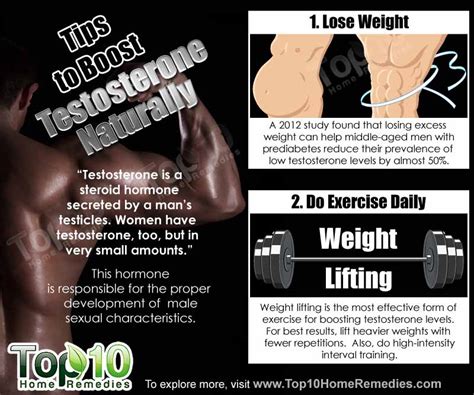 Diet For Low Testosterone Level Conposts