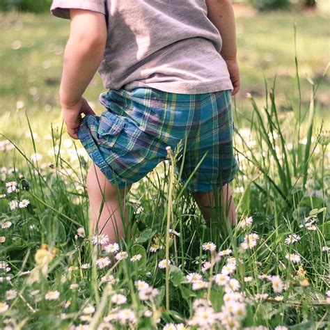 Devon Dad Adventures Sarah And Duck Some Questions Devon Dad