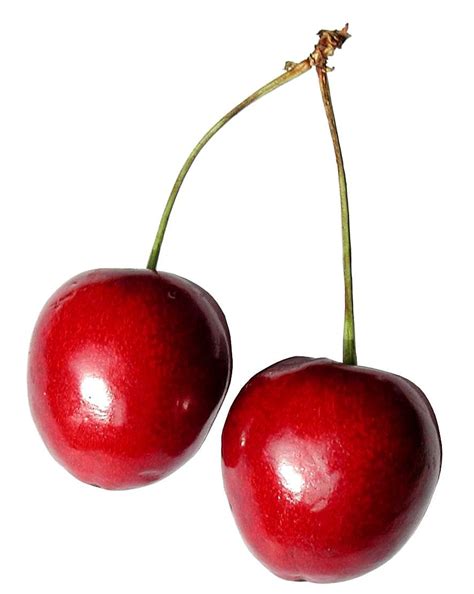 Free Picture Cherry Fruit White Background