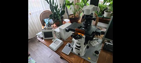 Buy Nikon Eclipse Ti New And Used Prices