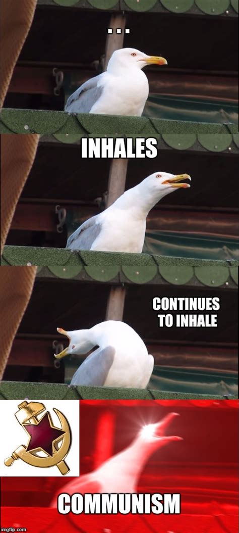 Inhaling Seagull Meme Imgflip