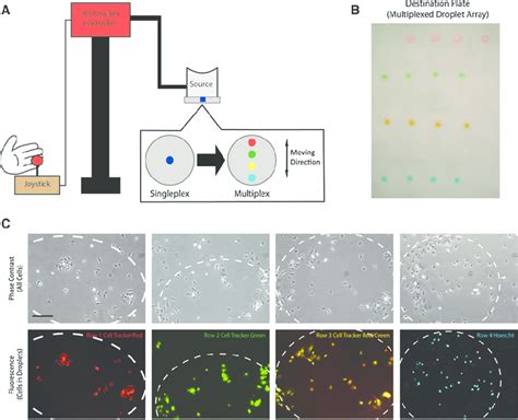 The Ade Setup Can Be Adapted For Multiplexed Patterning A