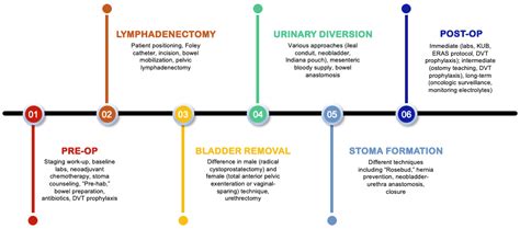 Evidence Based Analysis Of The Critical Steps Of Radical Cystectomy For