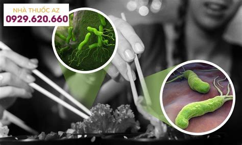 Vi Khuẩn Hp Helicobacter Pylori Khi Nào Sẽ Gây Ung Thư Dạ Dày Nhà