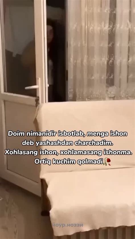 Your Nozzi • Instagram Photos And Videos