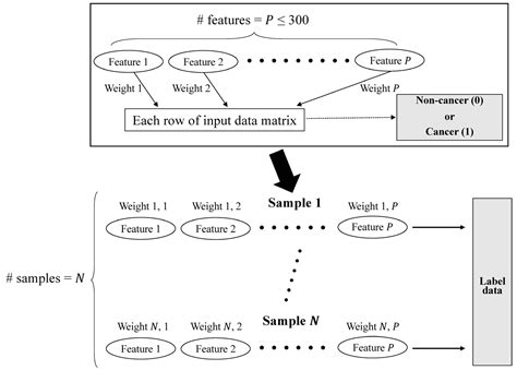 Biomolecules Free Full Text Deep Learning Algorithm And Concomitant