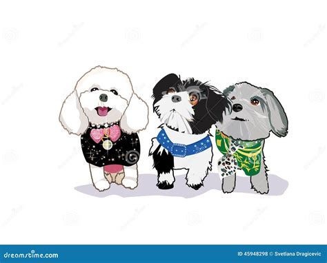 Fancy Dogs Stock Illustration Illustration Of Cute Fashionable 45948298