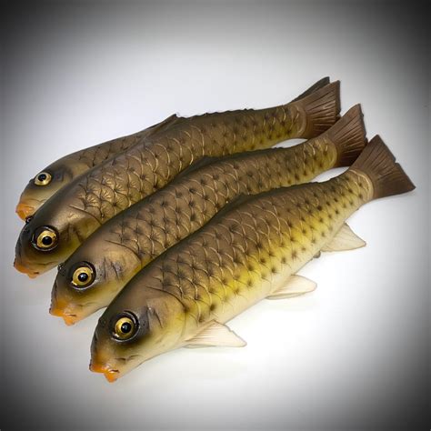 The Carp Tagged The Carp Kds Baits