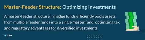 Master Feeder Structure Overview How It Works Advantages Wall Street Oasis