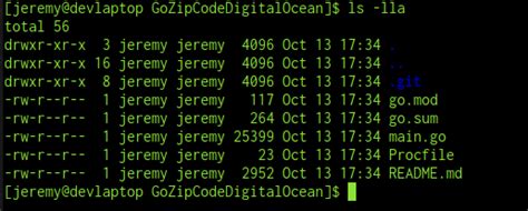 golang building a go web api with the digital ocean app platform