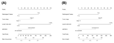 nomogram predicting the risk of recurrence a and death b for each