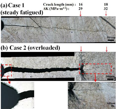 Crack Detection Microscope At Caren Knuckles Blog