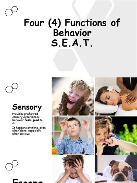 functions of behavior pdf