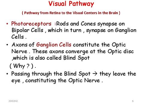 Physiology Of Vision Lecture2 Accommodation Pupillary Light Reflex