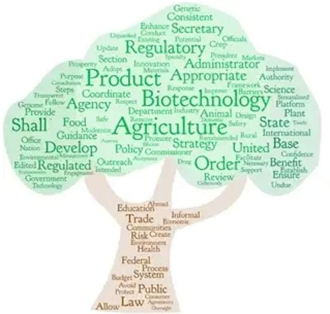 Heres How Crop Biotechnology Is Regulated In The United States