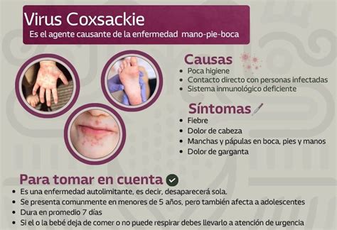 Detectan 71 Casos De Coxsackie En Escuelas De Veracruz Palabrasclarasmx