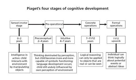Piaget S Cognitive Development Stages Chart