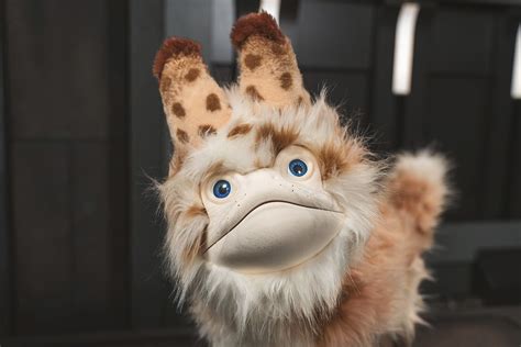 Youll Soon Be Able To Own Your Very Own Star Wars Loth Cat