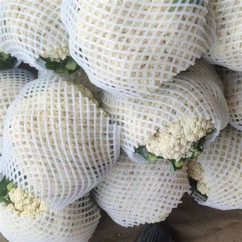 松花菜批发 河北邯郸丛台区菜花 060元斤牛商河北有机花菜 一亩田