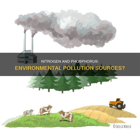 Nitrogen And Phosphorus Environmental Pollution Sources Shunwaste