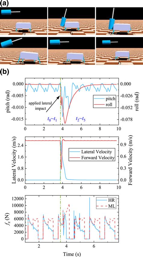 Lateral Impact Recovery Experiment A Snapshots Of The Lateral Impact Download Scientific