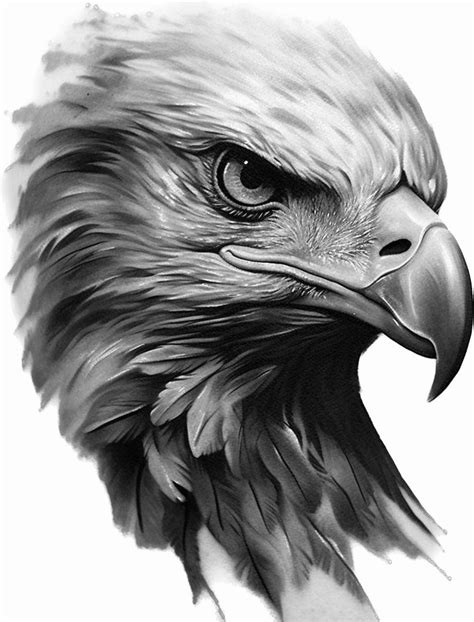 Eagle Head Artofit