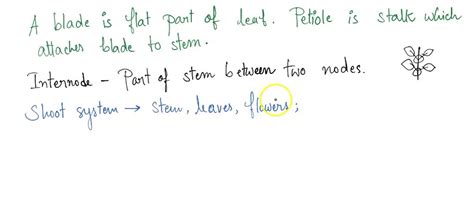 Solved Blade Flower Internode Leaf Node Root System Shoot System