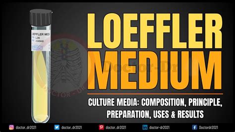 Loeffler Medium Composition Principle Preparation Results Uses