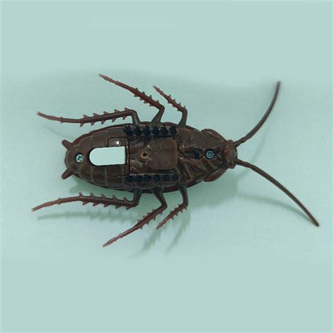 Electric Realistic Fake Cockroach Rc Toy Prank Insects Roach T For