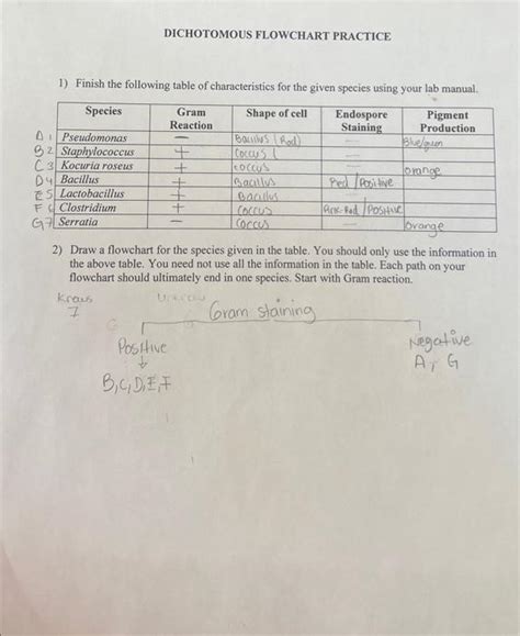 Solved Dichotomous Flowchart Practice 1 Finish The