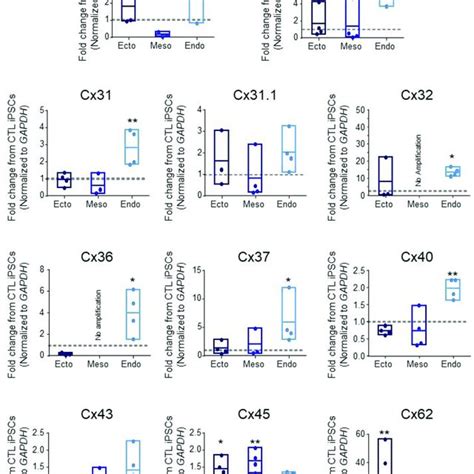 Connexin Mrna Expression During Human Ipsc Lineage Specification