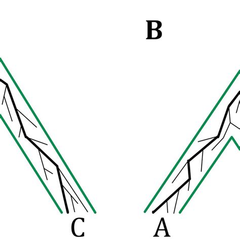 The Multispecies Coalescent On Trees And Networks A The Multispecies