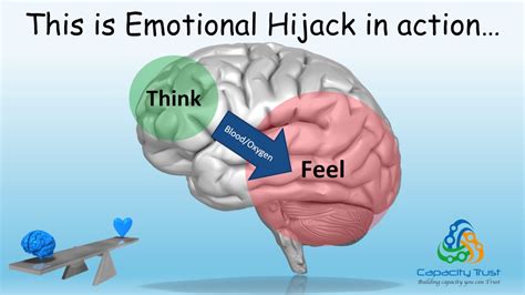 Emotional Hijack Youtube