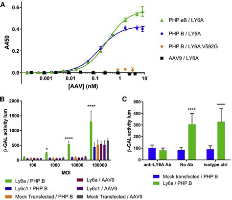 Aav Php B Binds To Ly6a Proteins A Elisa Measurement Of The Binding Download Scientific