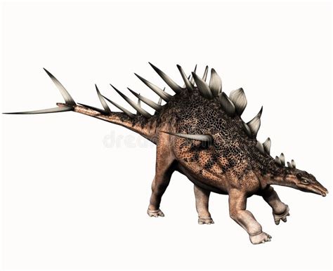 Spiky Tail Stock Illustrations 193 Spiky Tail Stock Illustrations