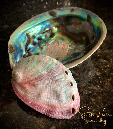 Smudge Sage Sweetgrass Rose Quartz Emerald Abalone Lion Paw Etsy
