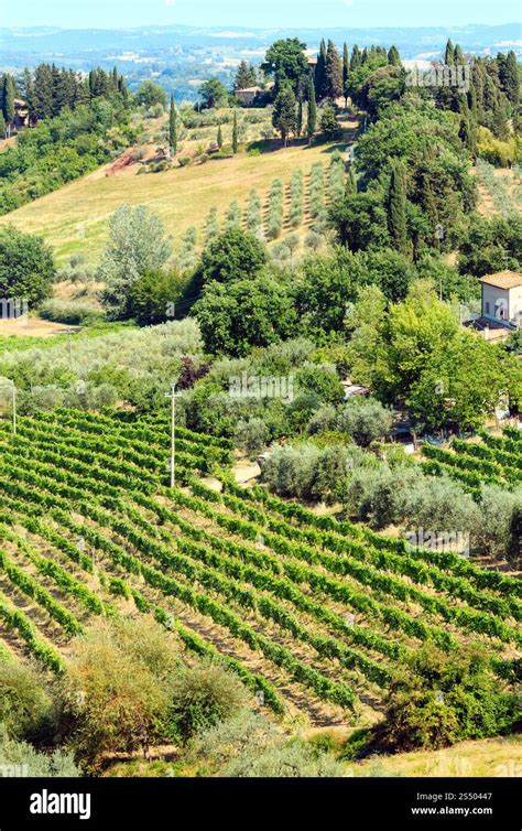 Beautiful Tuscany Summer Countryside Landscape From San Gimignano Town