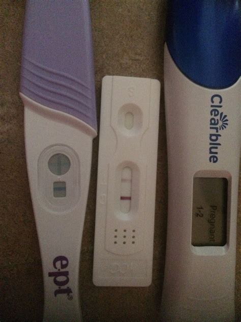 What Does A Positive Pregnancy Test Really Look Like Page 5 — The Bump