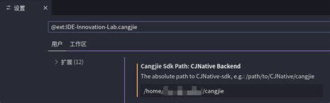 我的vscode总有找不到lspserverexe这个提示 Usersforum Atomgit Gitcode