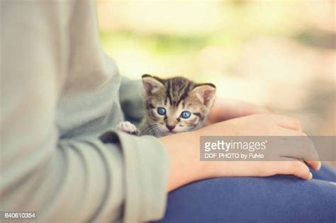 Cute Dof Photos And Premium High Res Pictures Getty Images