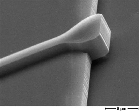High Resolution Sem Image Of A Dry Etched Rib Waveguide And Waveguide Download Scientific