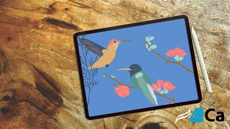 Assets In Affinity Designer — Perch Handmade