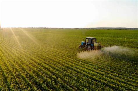 La Producción Agrícola De Latinoamérica Crecerá Un En La Próxima Década