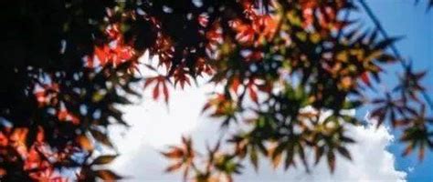 开学第一课丨上课 起立 老师好！教学