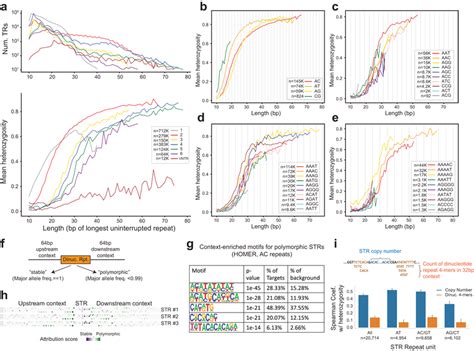 Sequence Determinants Of Tr Polymorphism A Heterozygosity Is Correlated Download Scientific