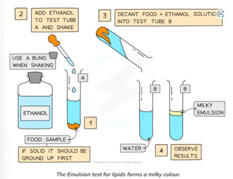 Biochemical Test Lipids Flashcards Quizlet