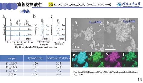 沈阳工业大学环境与化学工程学院 史发年 教授合肥展会分享，如有侵权请联系管理员进行删除