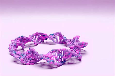 Applications Of Pdna In Biotechnology And Medicine