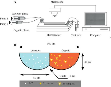 Schematic Of Microreactor System Used In This Study A Microreactor