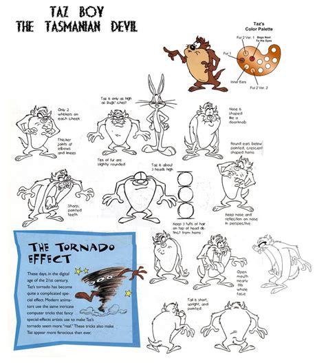 Wile E Coyote Model Sheet By Guibor On Deviantart Artofit